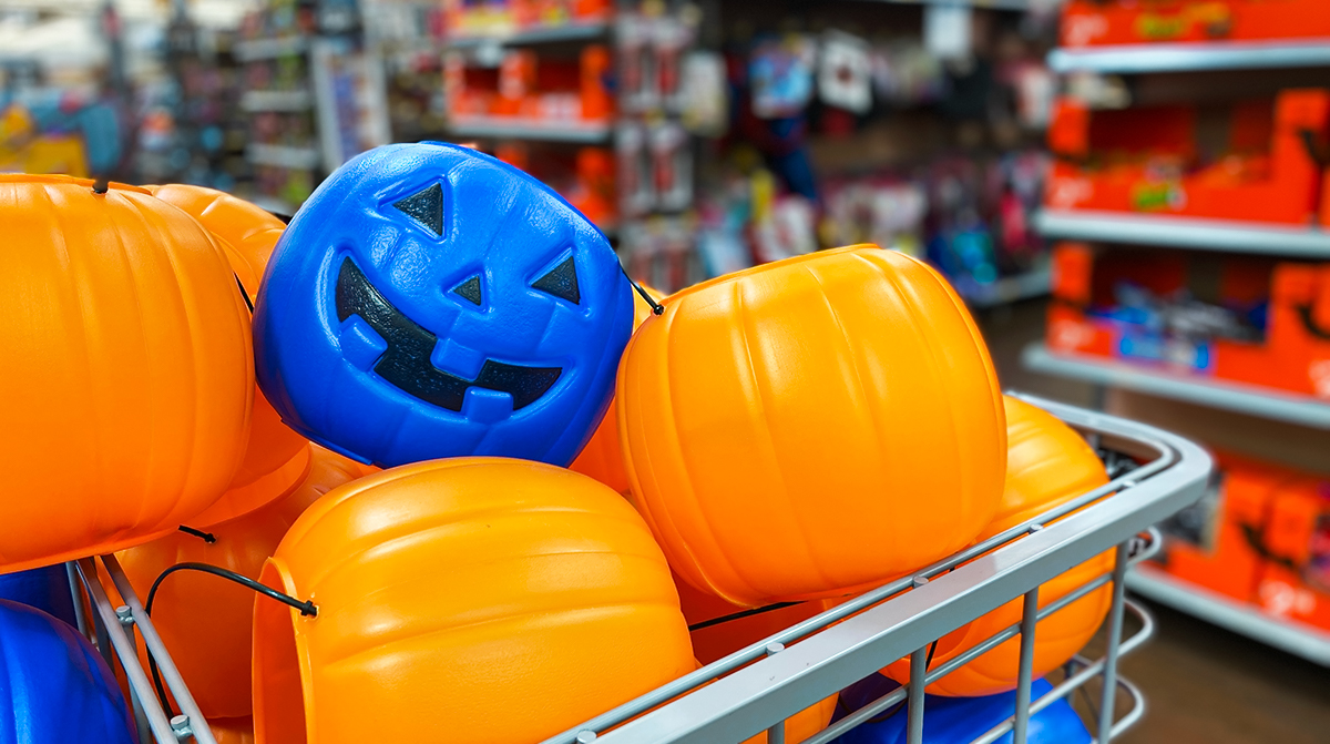 The Great Blue Pumpkin Debate - Finding Cooper's Voice | Welcome to the ...