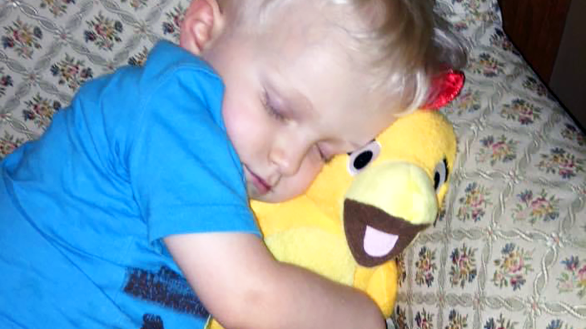 A Touch of Kindness: The Story of a Lost Stuffed Chicken and Restored ...