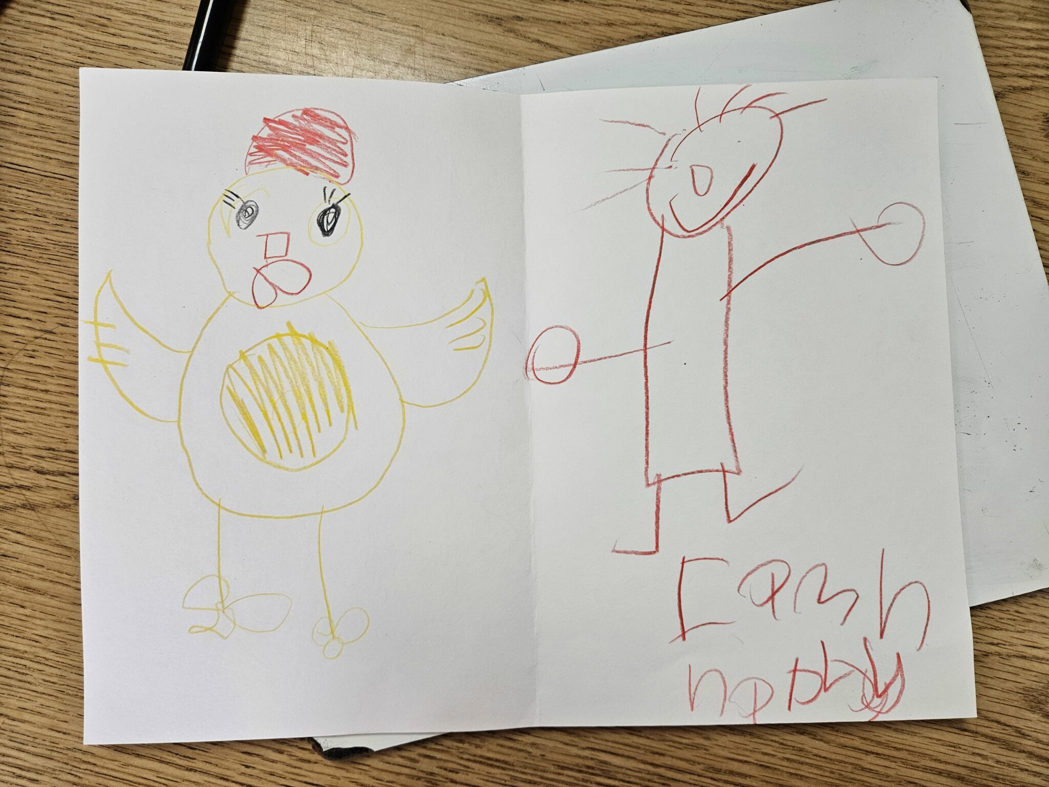 A Touch of Kindness: The Story of a Lost Stuffed Chicken and Restored ...