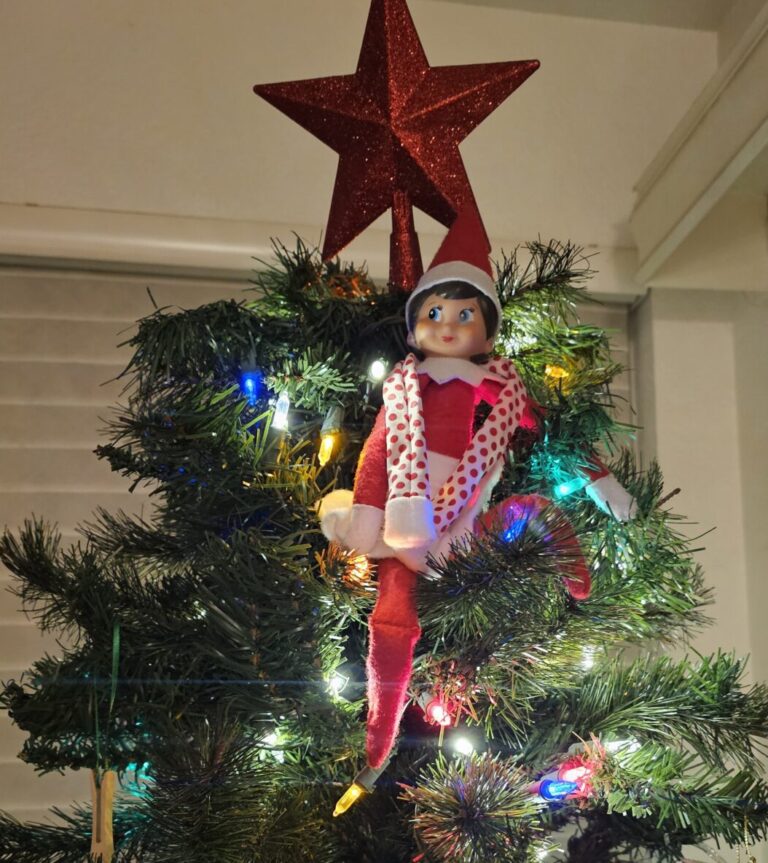 The Elf on the Shelf and the Complex Joys of Autism - Finding Cooper's ...